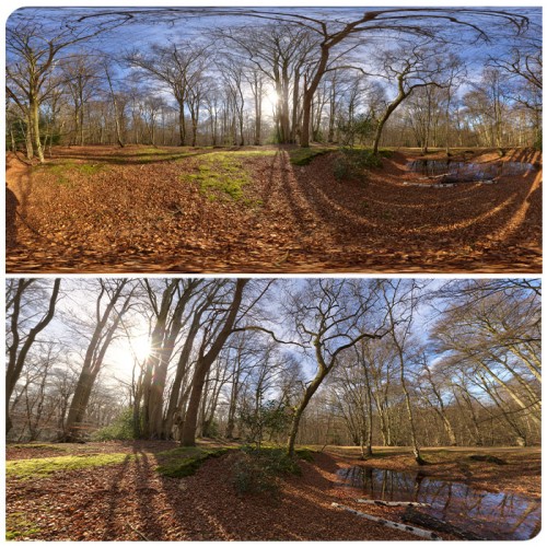 360 HDRI panorama of Autumn Forest in 30k, 15k and 4k resolution