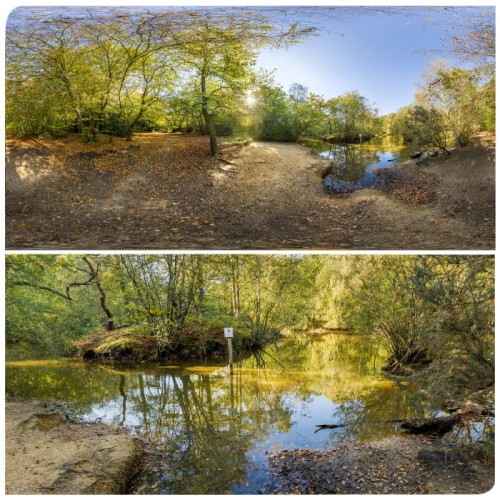 360 HDRI panorama of Forest in 30k, 15k and 4k resolution