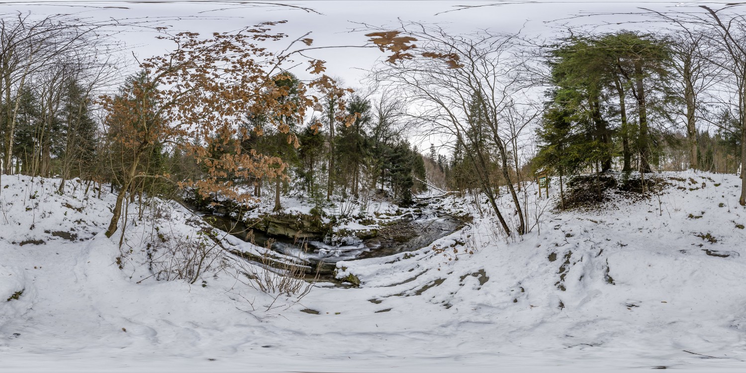 360 HDRI panorama of Winter forest 4 in high 30k resolution - forest ...