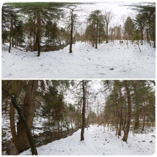 360 HDRI panorama of Winter Forest in 30k, 15k and 4k resolution